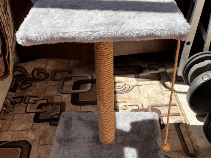 Когтеточка-лежанка