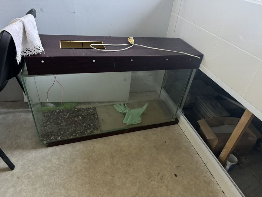 Аквариум, 100х30х50 (150л)