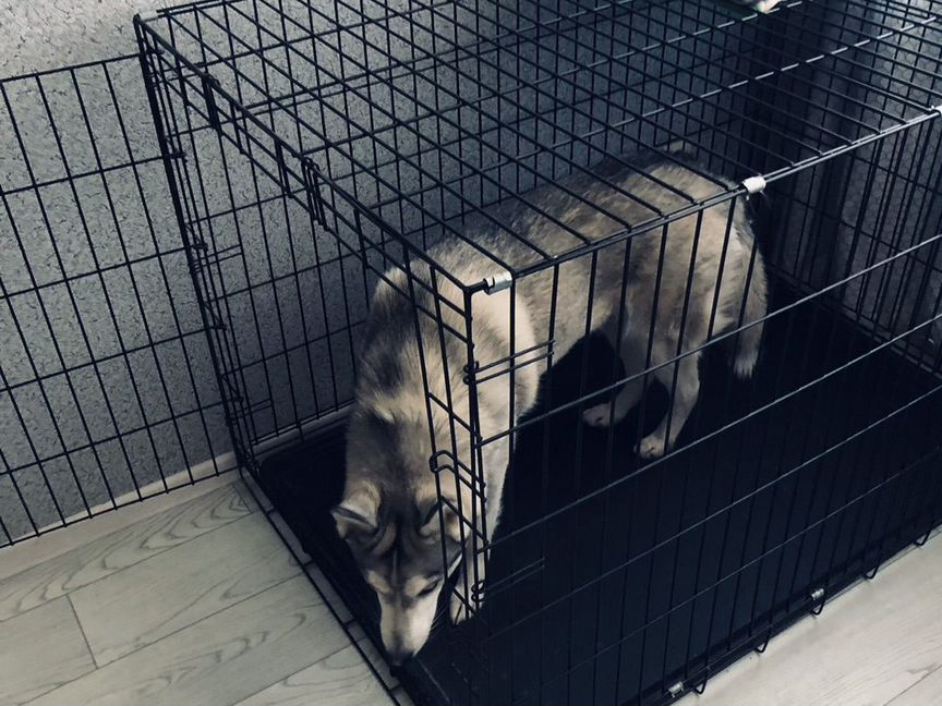 Клетка для сабаки