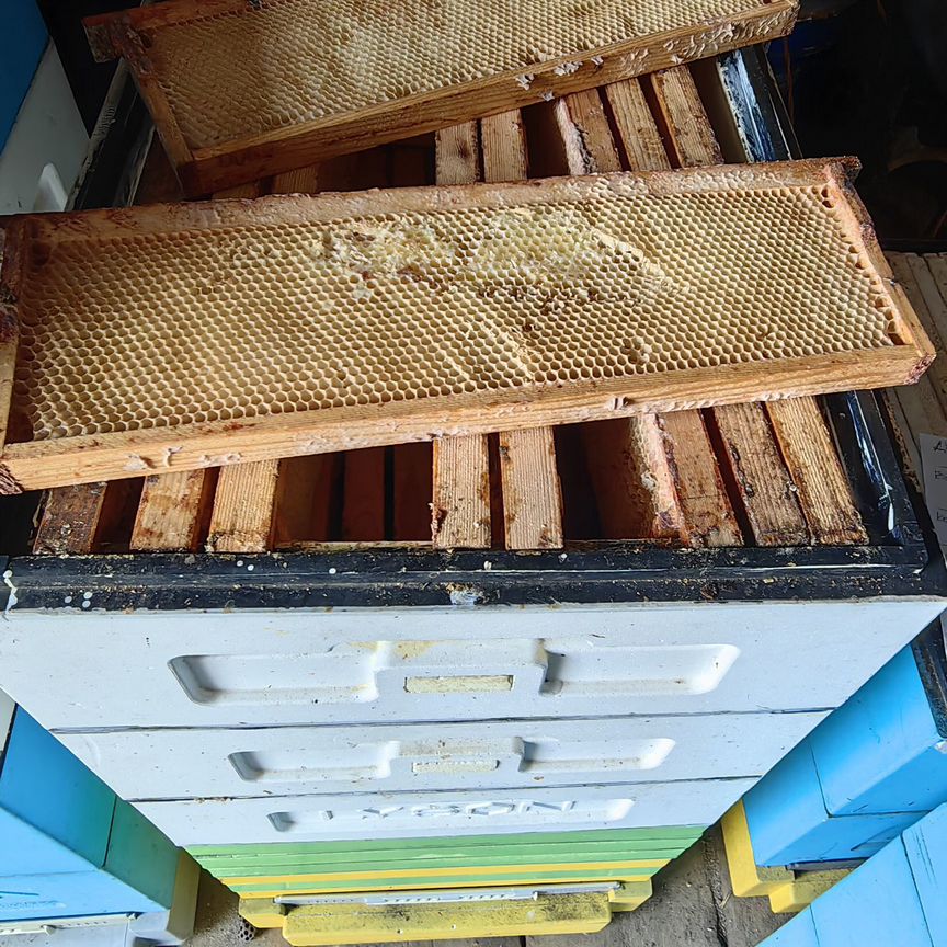 Рамки с сушью