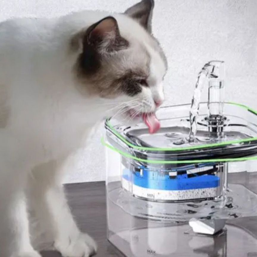 Фонтан поилка для кошек,новое