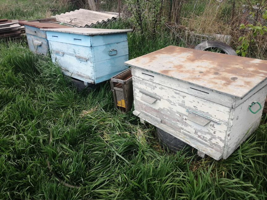 Ульи лежаки