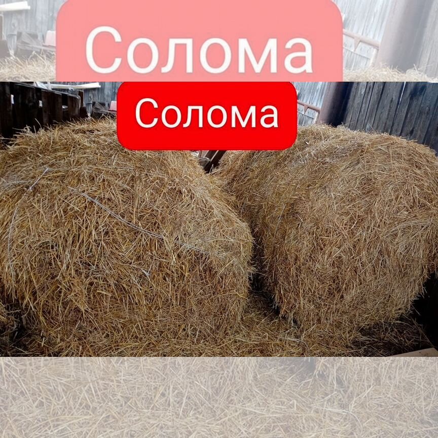 Сено солома с достакой