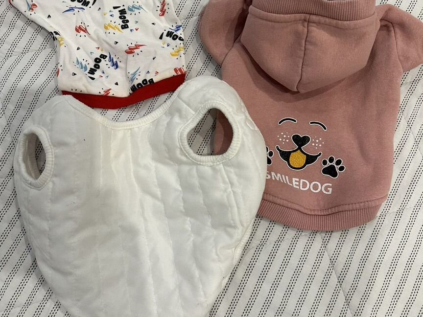 Одежда для маленьких пород собак