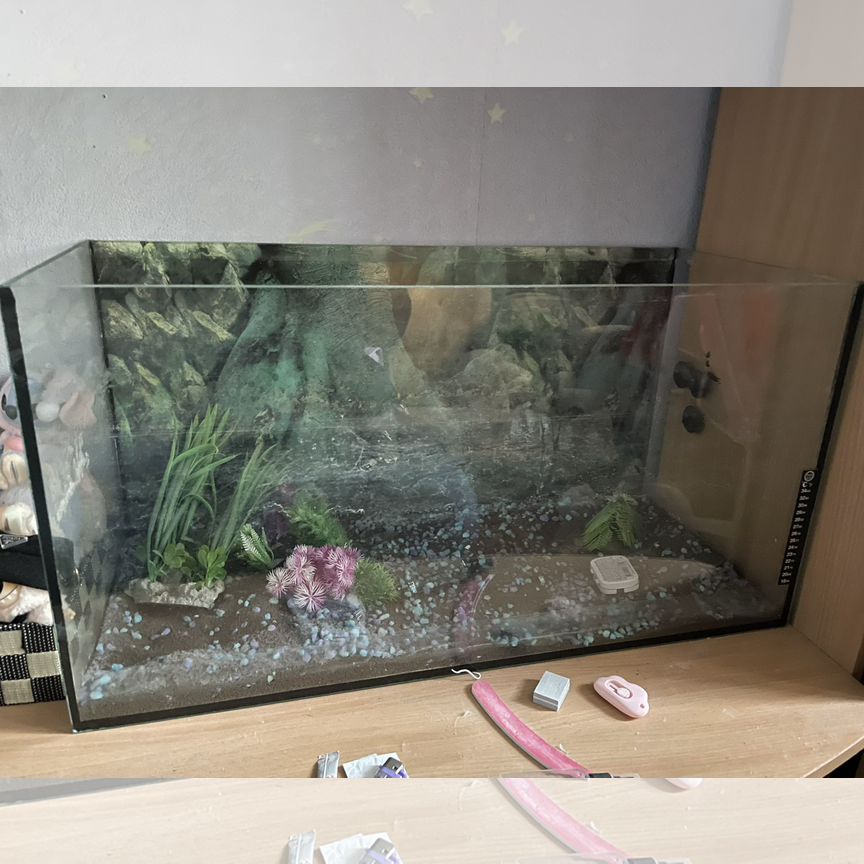 Аквариум, крышка в комплекте есть