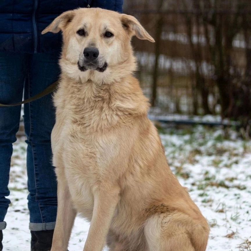 Вениамин ищет любящую семью