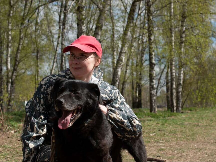 Потап хочет в семью (Собака из приюта)