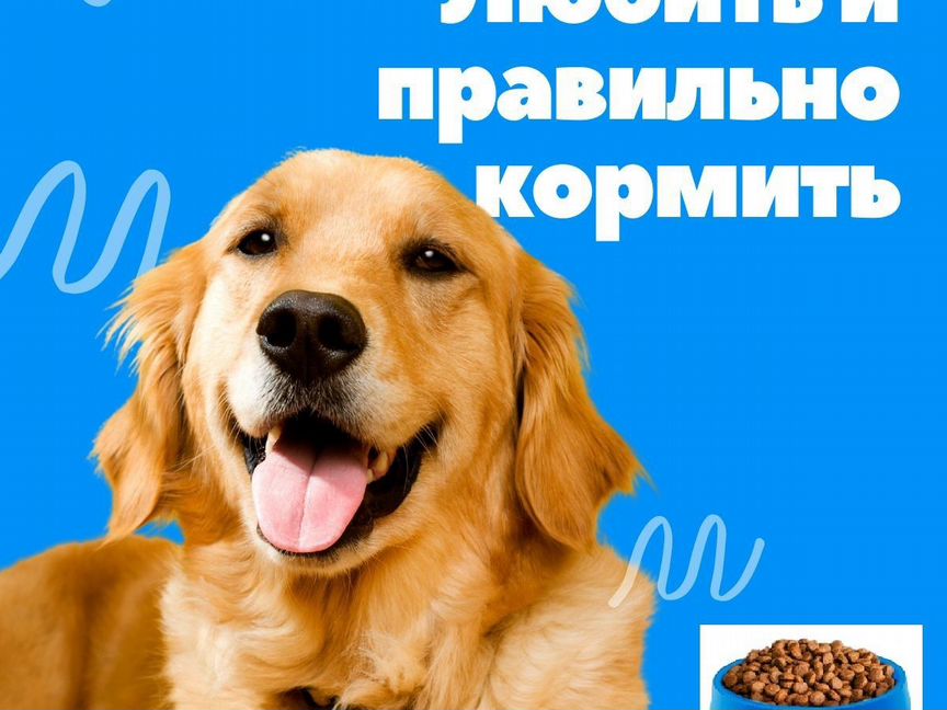 Корм Фармина Италия для собак и кошек