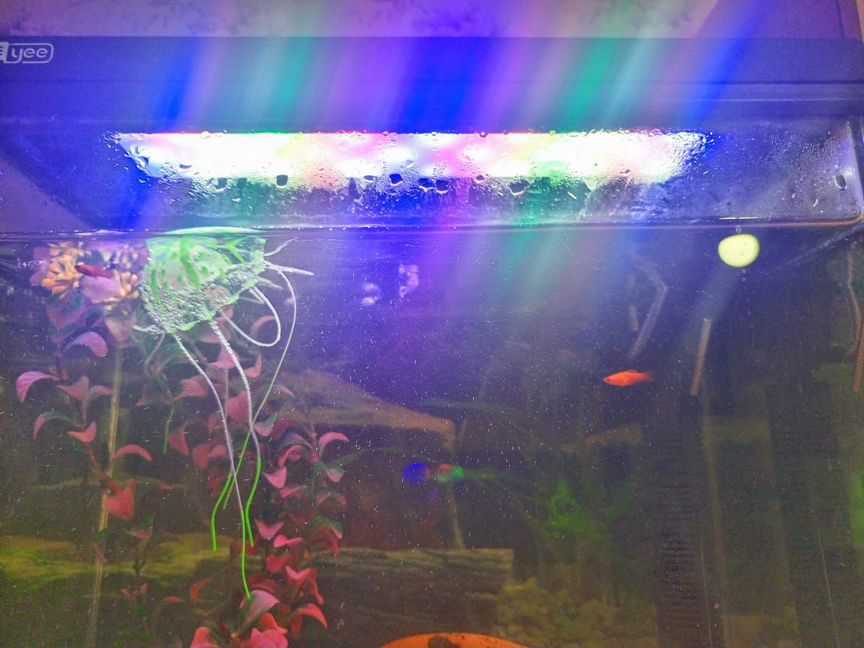 Аквариум с рыбками