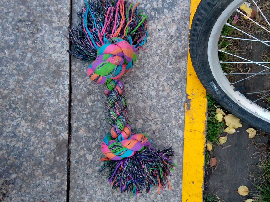 Игрушки для животных