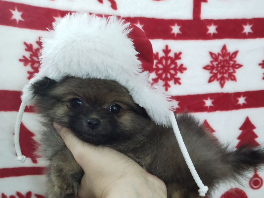 Дюймовочка