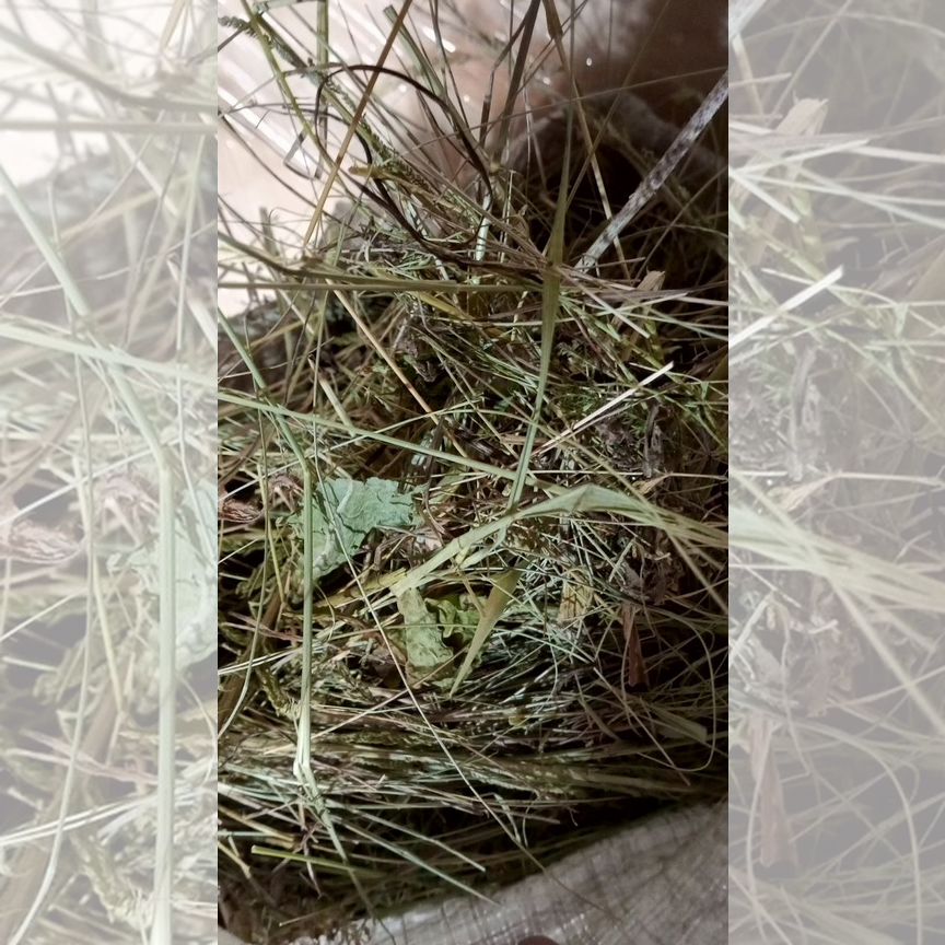 Сено в мешках