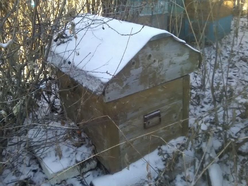 Ульи для пчел бу, сушь