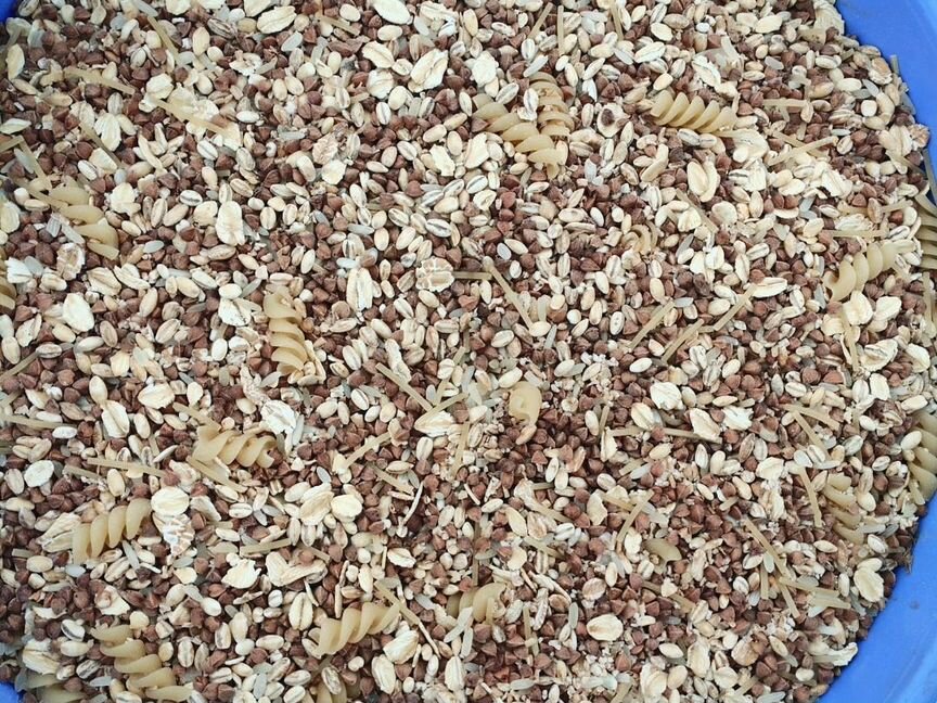 Смесь круп для корма животных