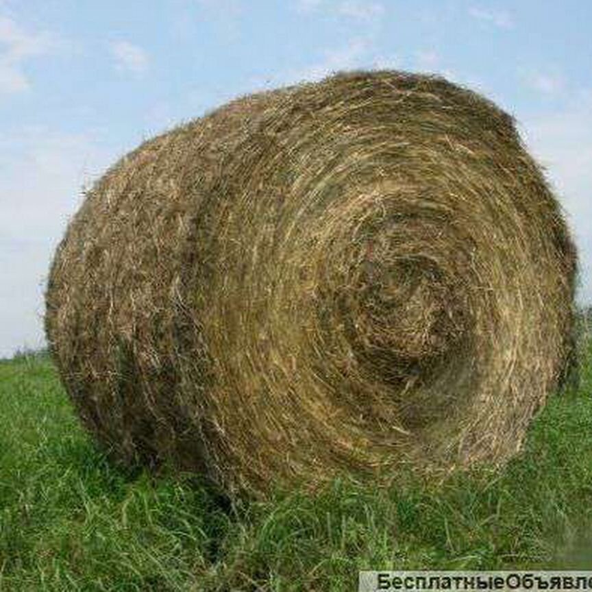 Продам сено, солому в рулонах 2025 года