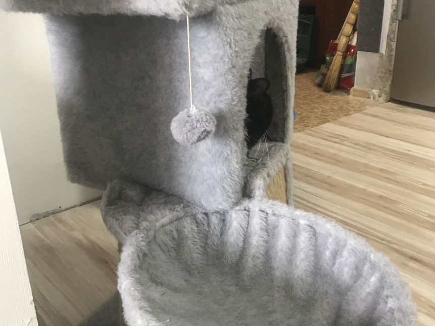 Кошачий домик с когтеточкой