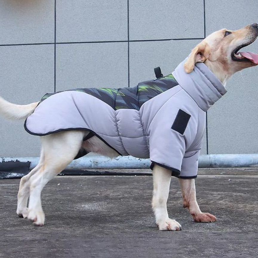 Комбинезон для собаки