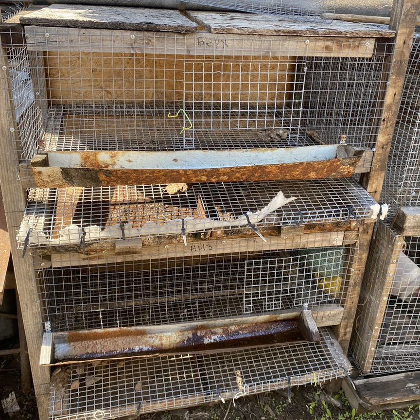 Клетки для птицы бройлеров перепелов