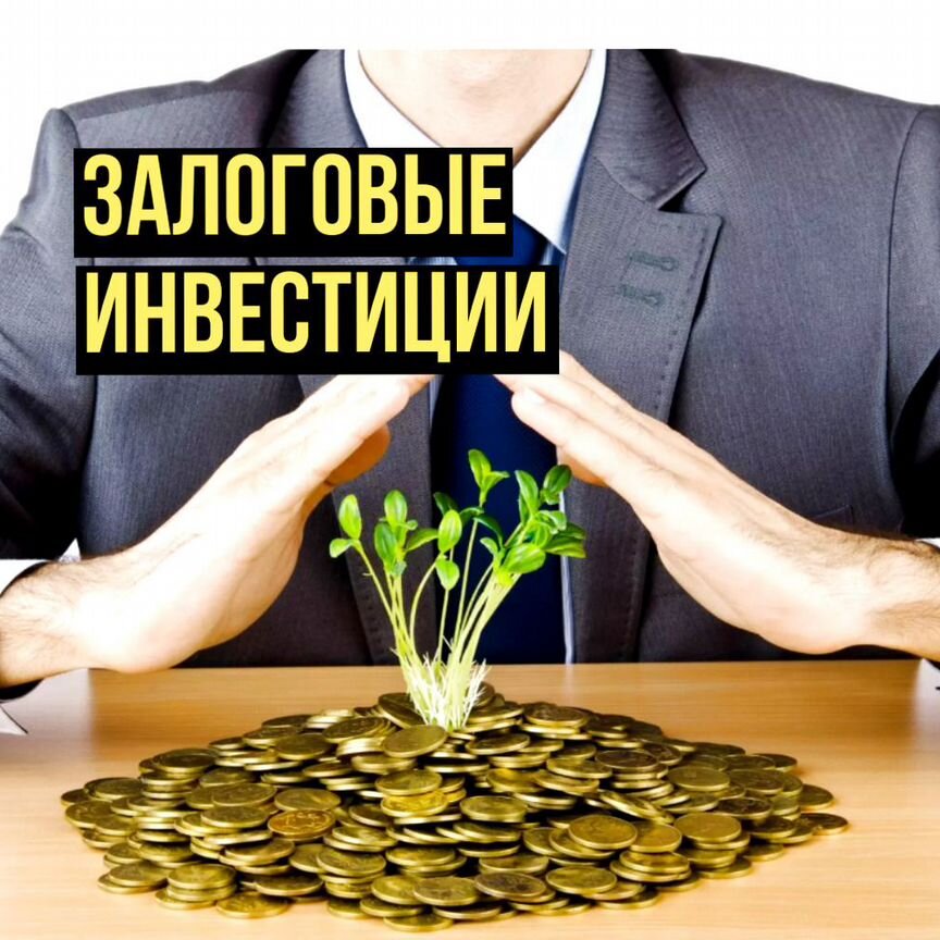 Корм для собак от производителя оптом
