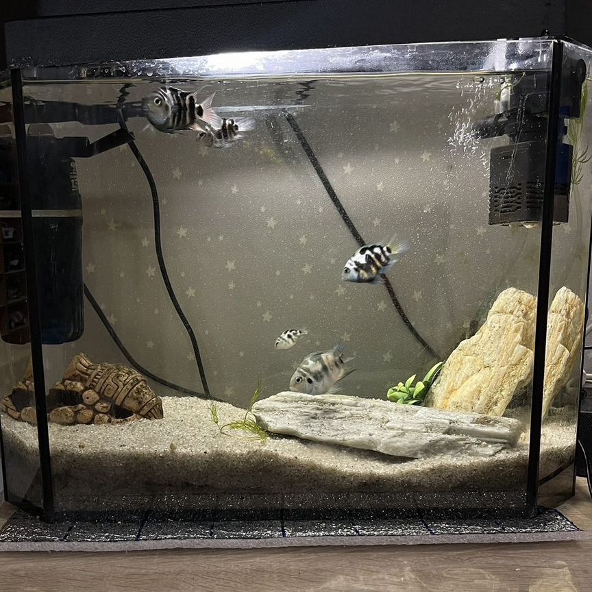 Аквариум 20 литров