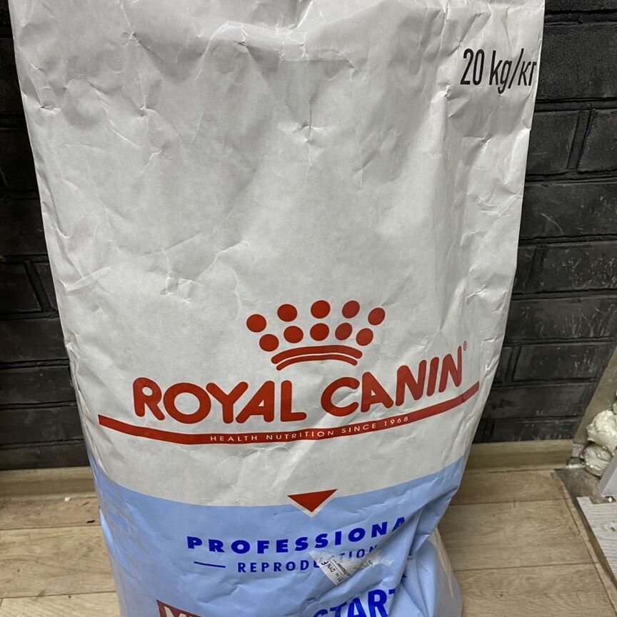 Royal canin медиум стартер