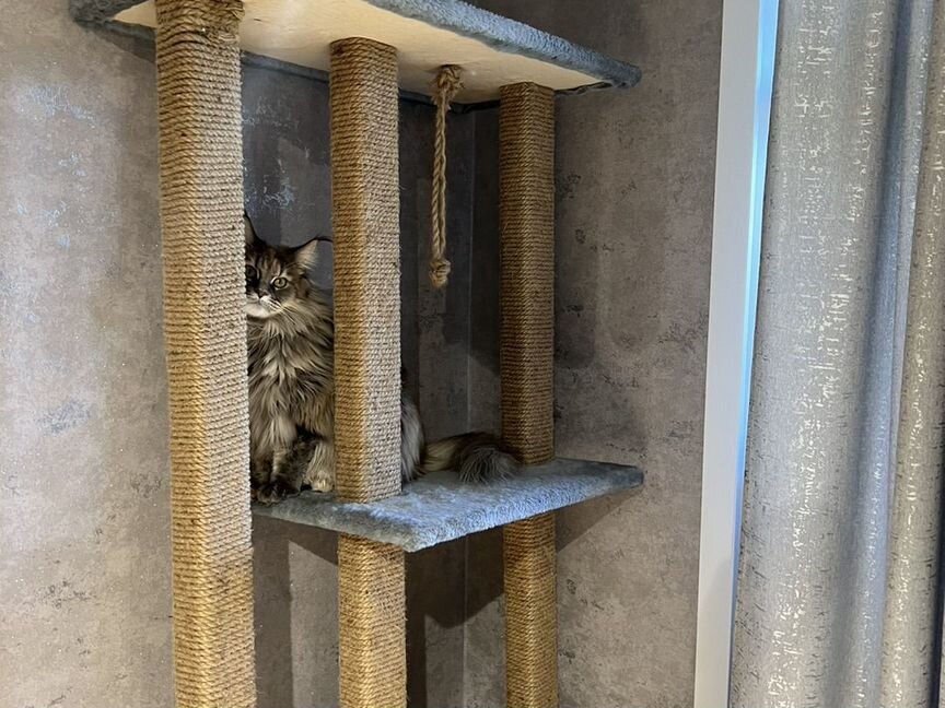 Когтеточка для кошек