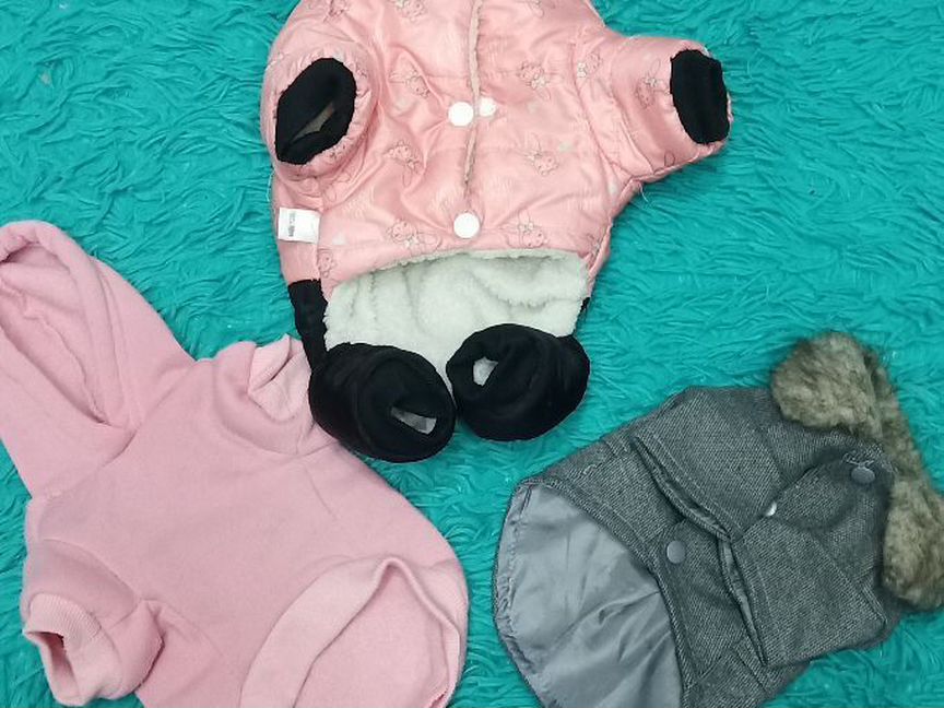 Одежда для маленьких собак