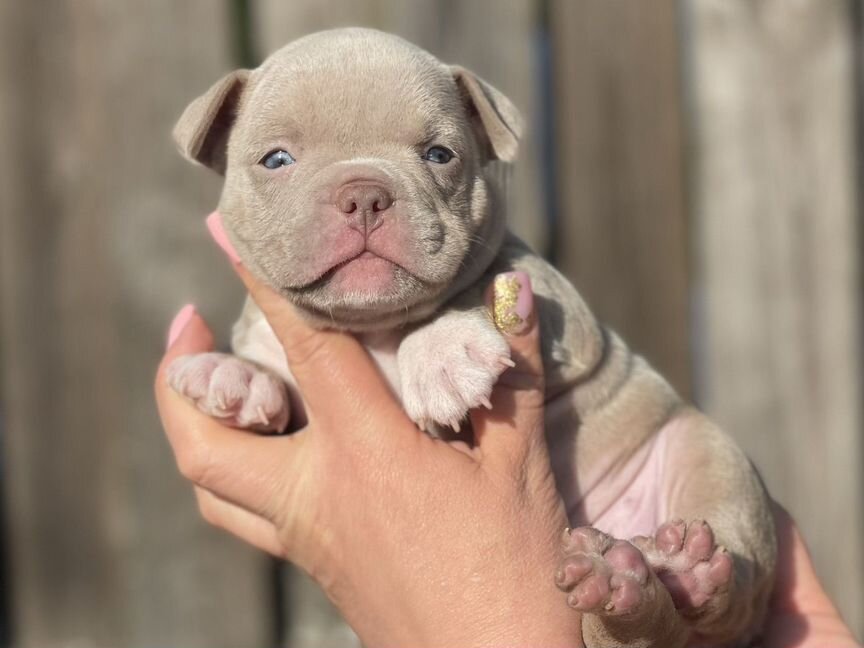 Микро девочка