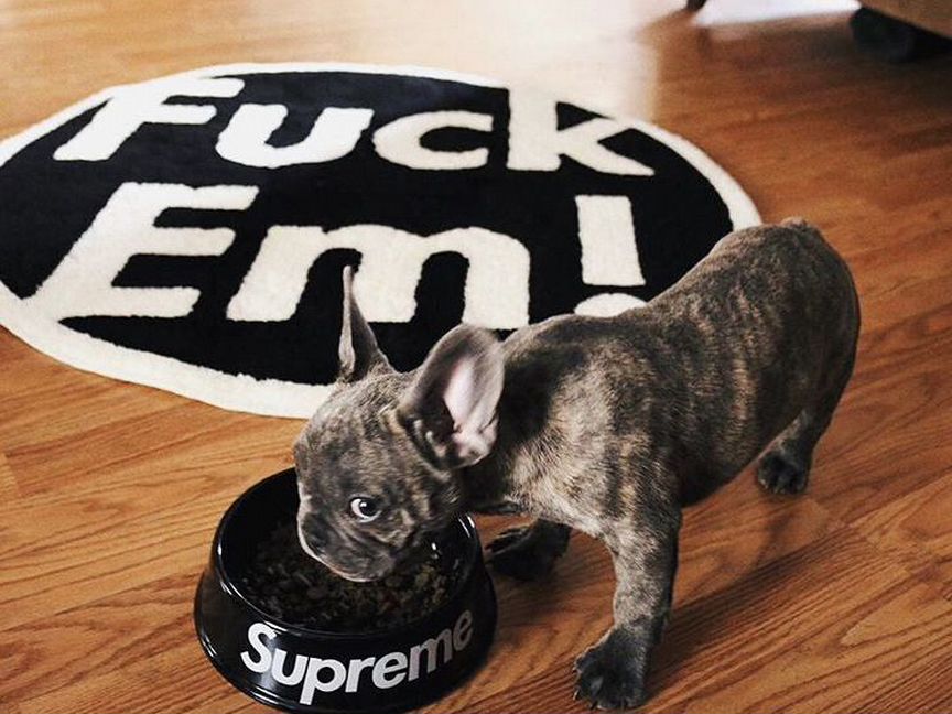 Supreme Миска для животных