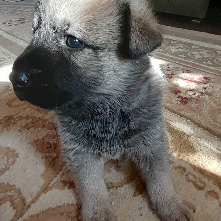 Мальчик