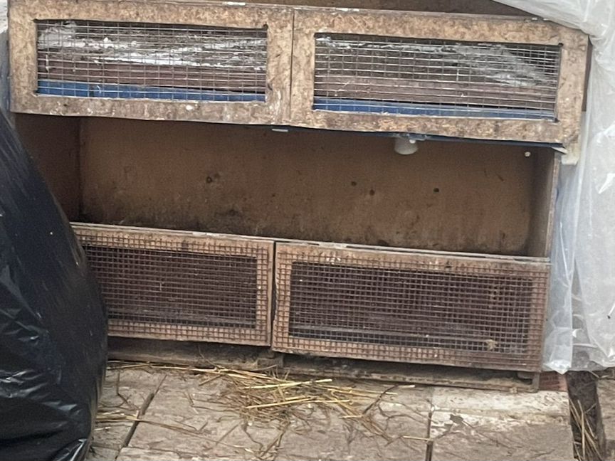 Клетка для кролика