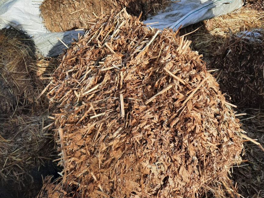 Сено лебеда