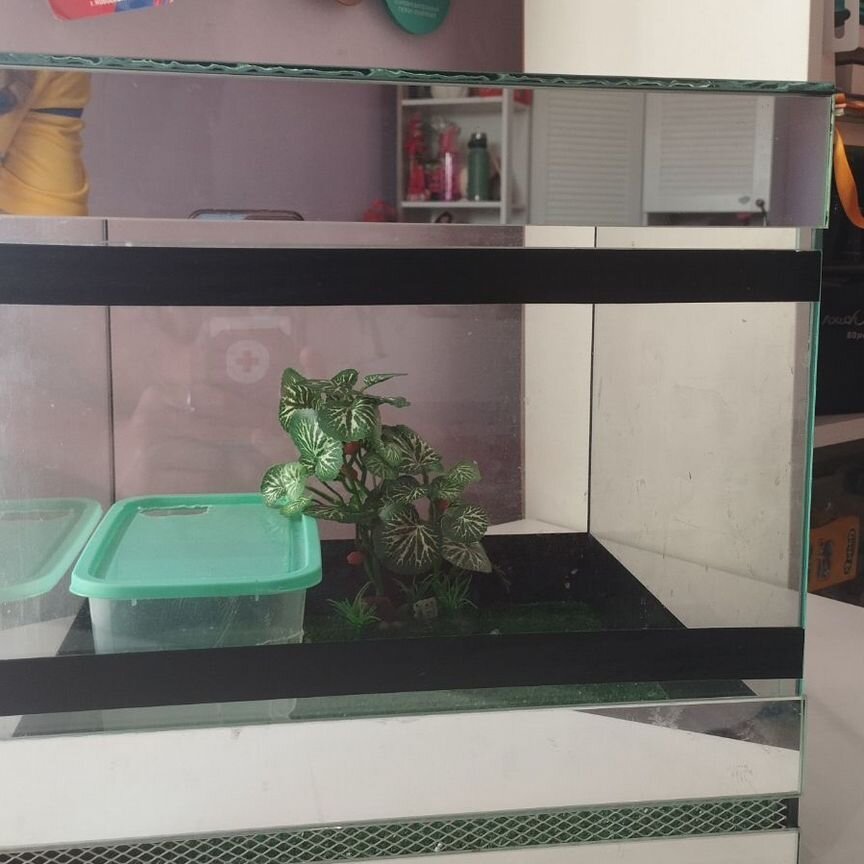 Террариум для рептилий