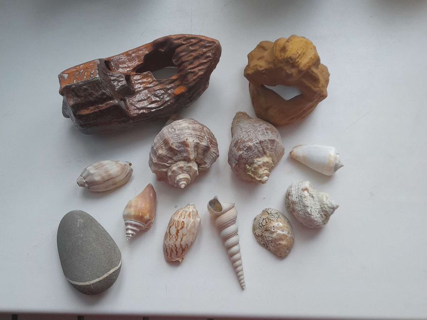 Декорации для аквариума кораблик, ракушки