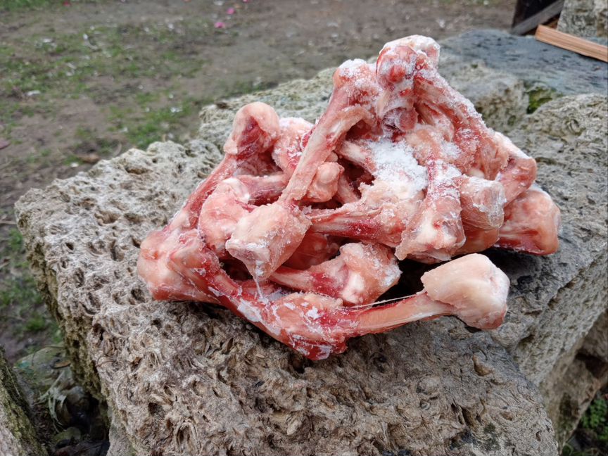 Корм для собак