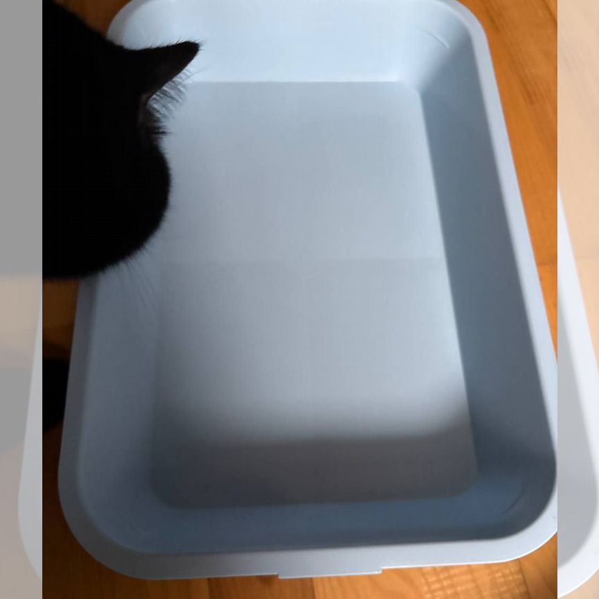 Лоток для кошек