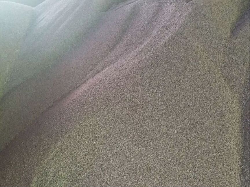 Семечко, Кормовая кукуруза на корм/посев