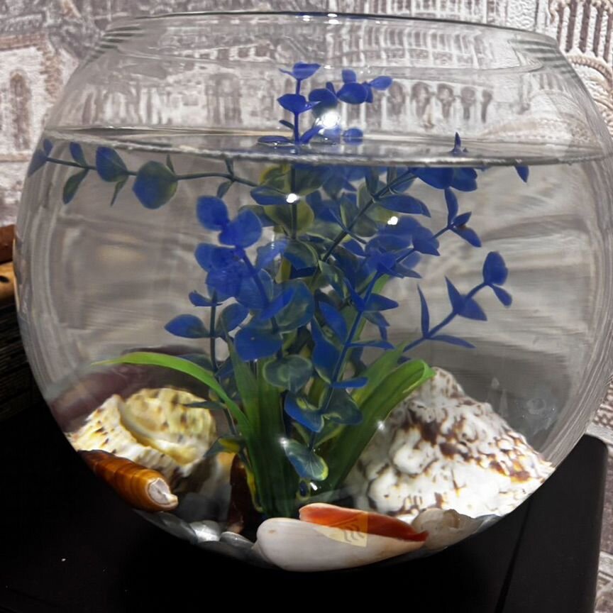 Аквариум с рыбкой