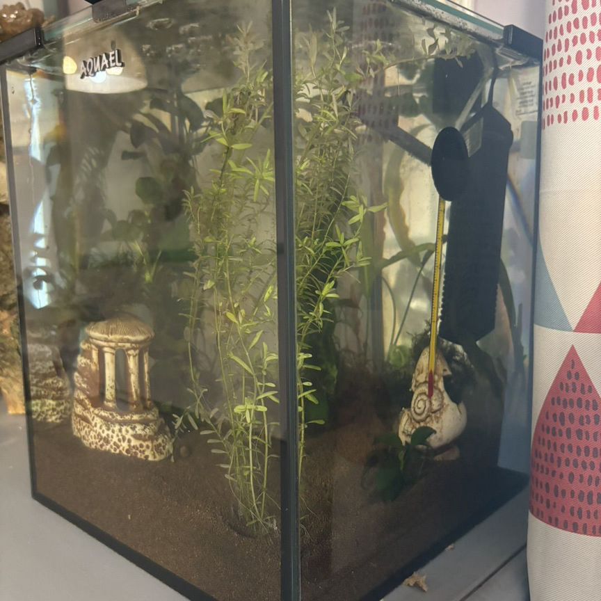 Аквариумы две штуки 20 и 80 л