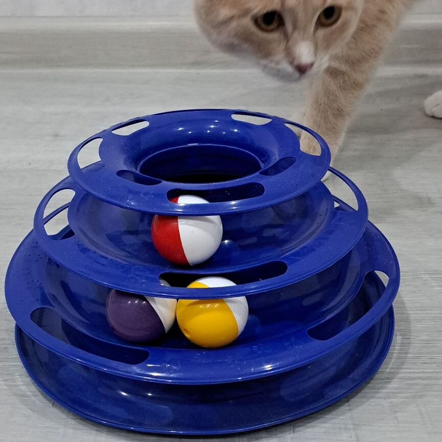 Игрушка для котёнка или взрослого животного