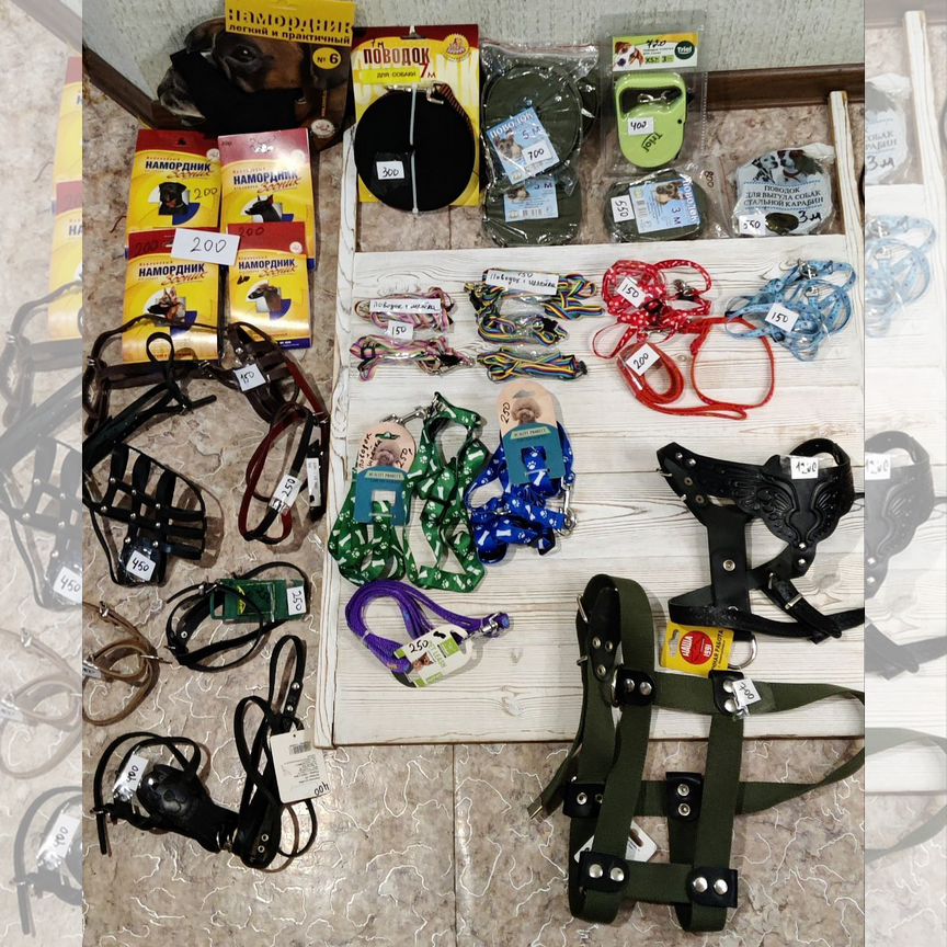 Шлейки, поводки и намордники