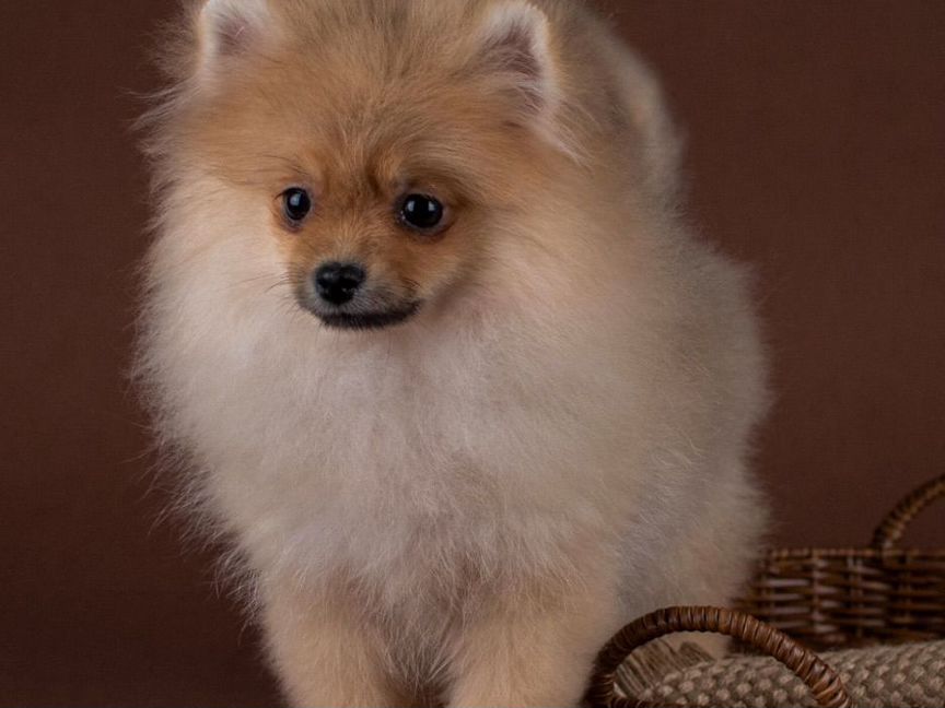 Девочка помочка фото реально