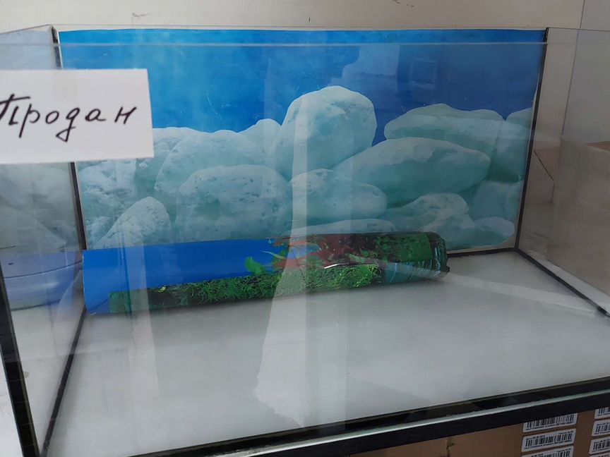 Аквариум
