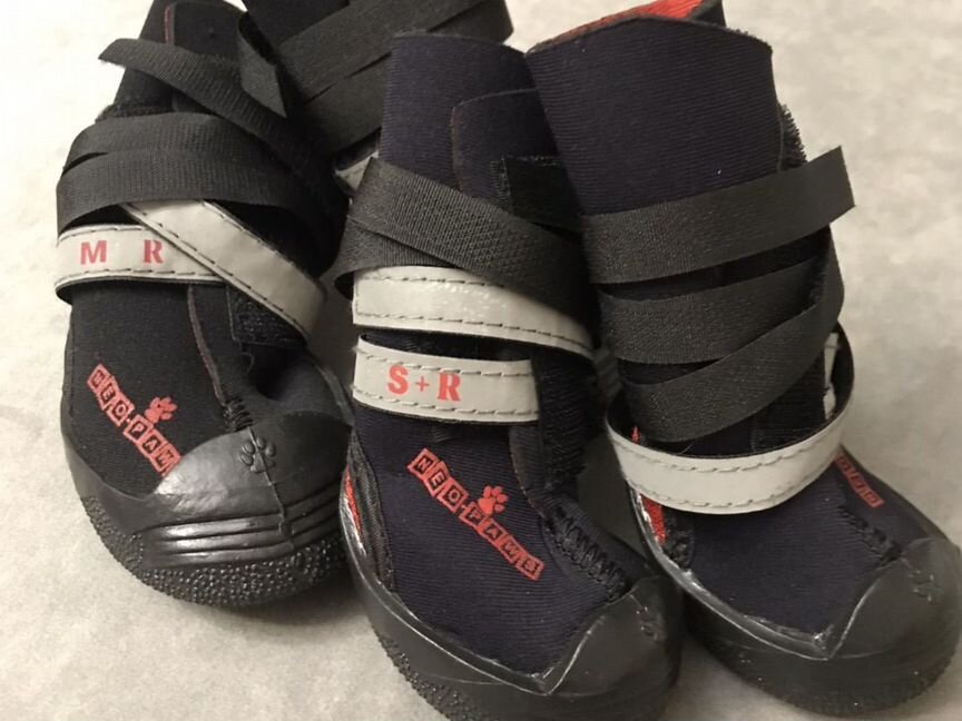 Сапоги доя собак