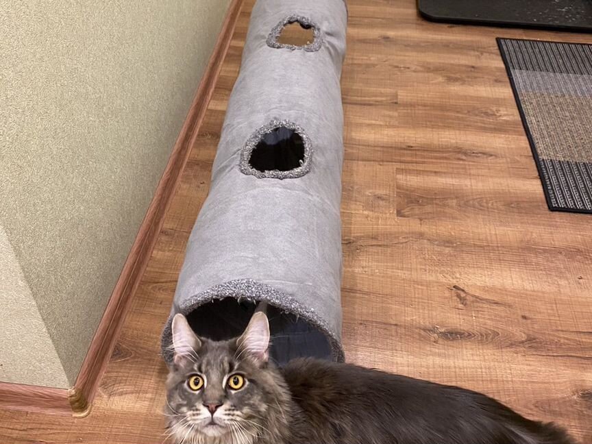 Туннель для кошек