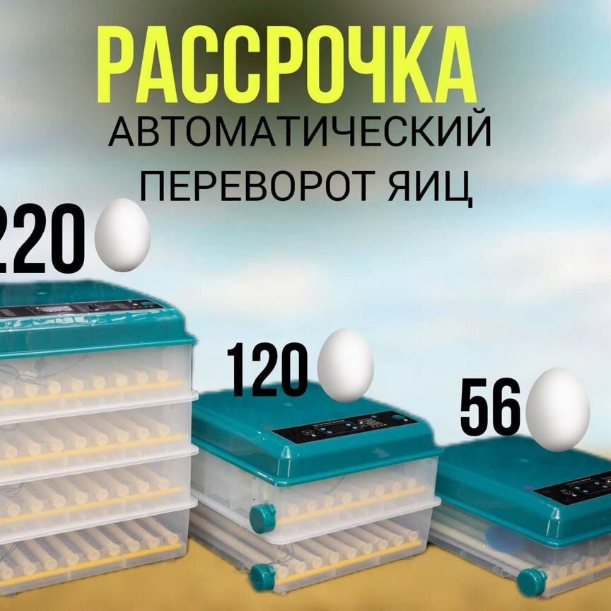 Инкубатор для яиц