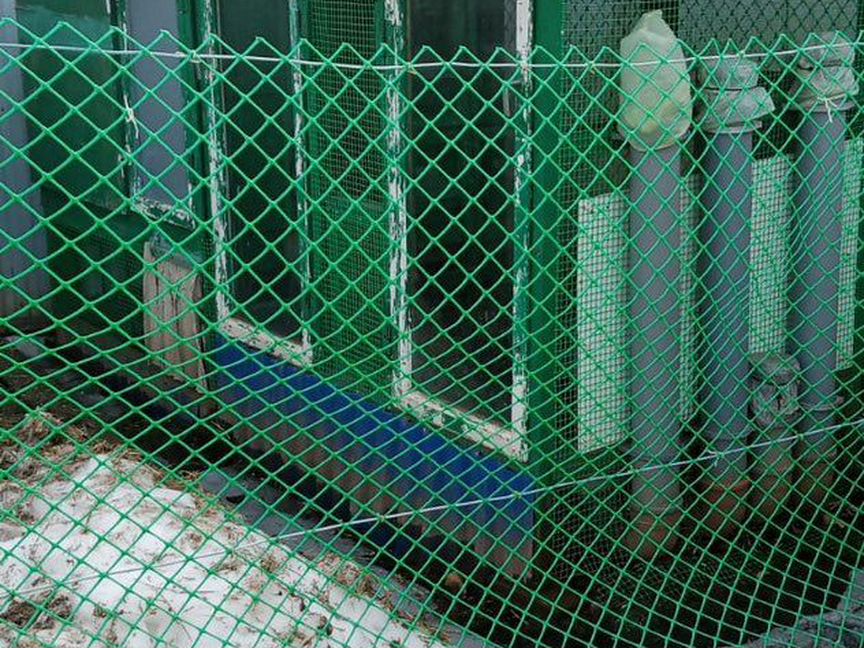 Продаю летний домик для кур несушек на самовывоз