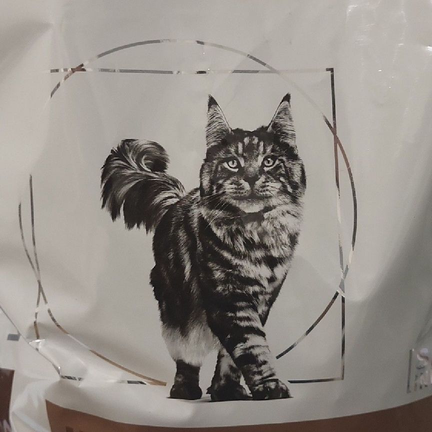 Сухой корм для кошек royal canin hepatic