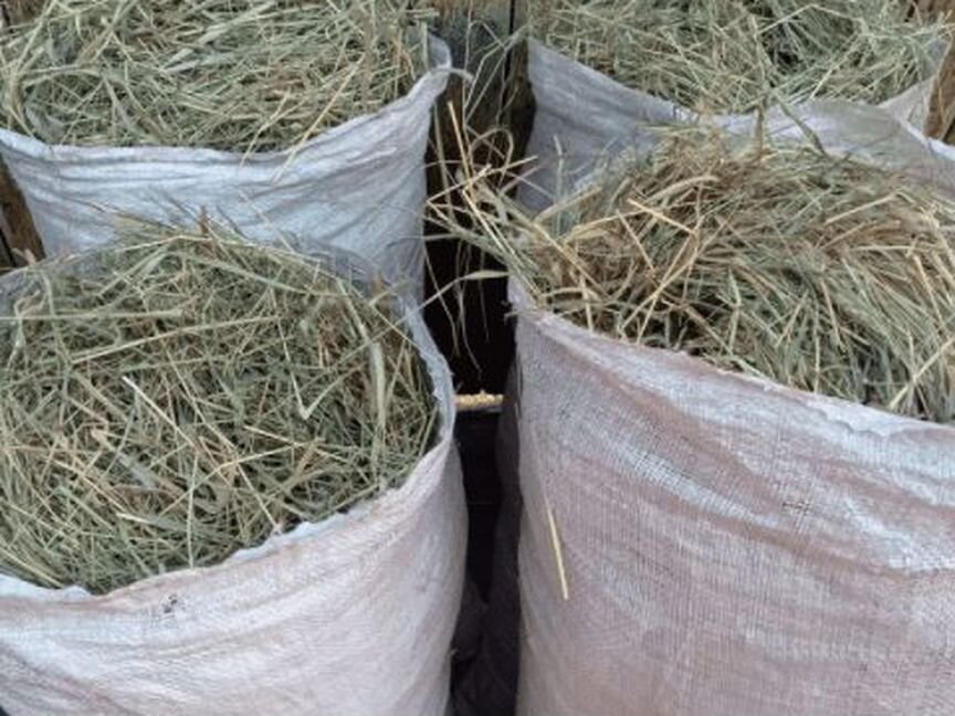 Сено в мешках