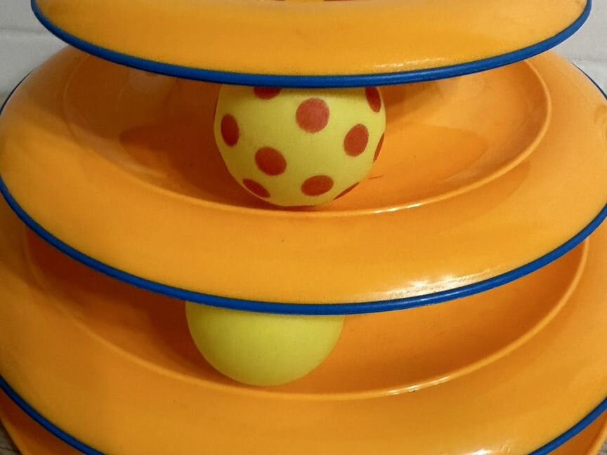 Игрушка для кошек развивающая